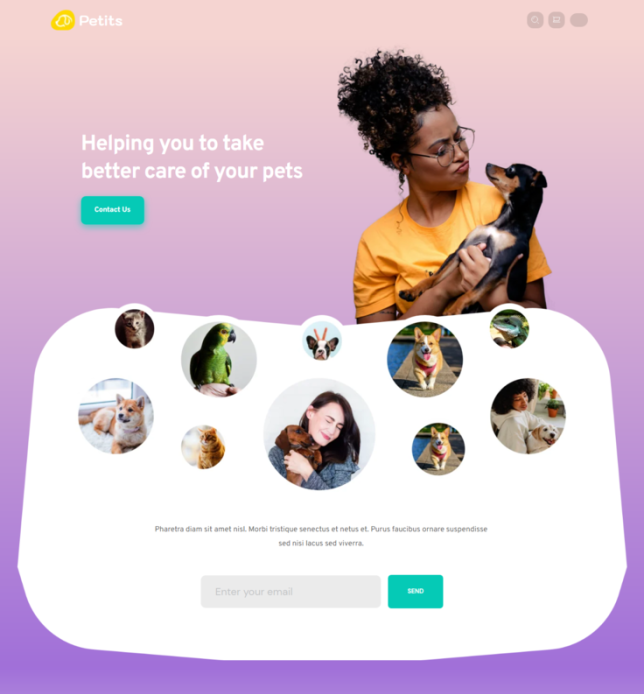 Weblizo – Web design & SEO Agency